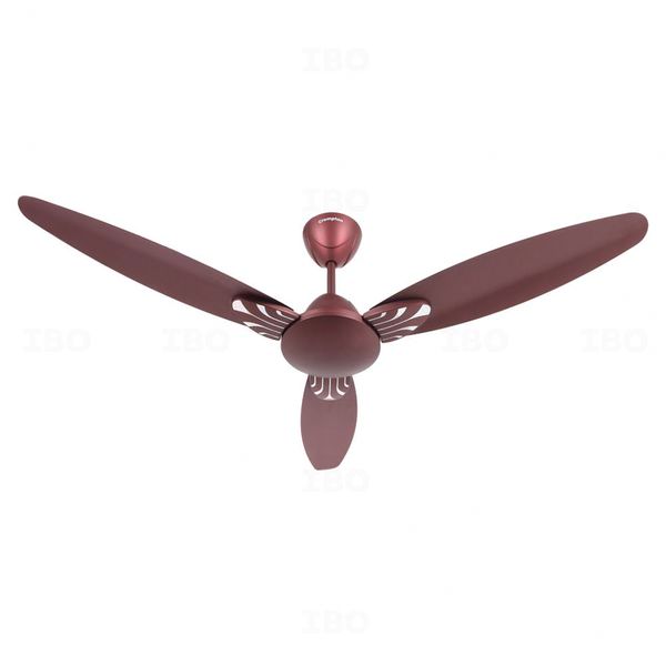 Buy Crompton Senoprime 1200 mm Maroon Ceiling Fan on IBO.com & Store ...