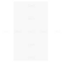 Buy Merino Merinolam 21481 Neo White Lily UNI+ 1 mm Decorative ...